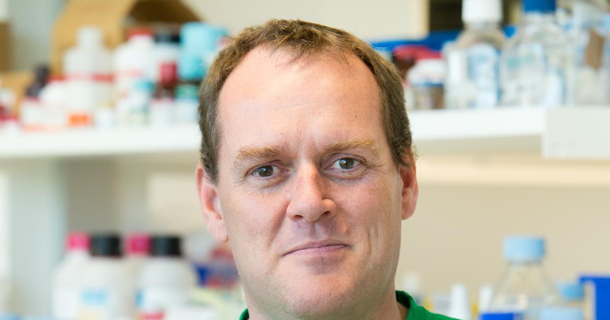 Diego Clemente promete una «visión científica» sobre el orgullo de ser ...