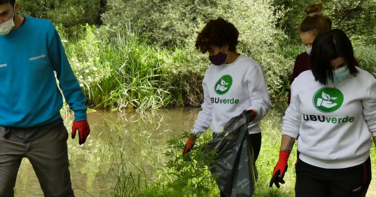 UNIVERSIDAD / MEDIO AMBIENTE: UBUVerde vuelve a la carga con 40 ...