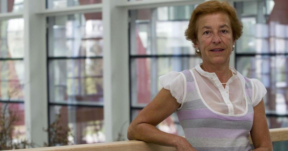 INVESTIGACIÓN DESCUBRIMIENTOS EN BURGOS QUE EXPLICAN LA EVOLUCIÓN ...