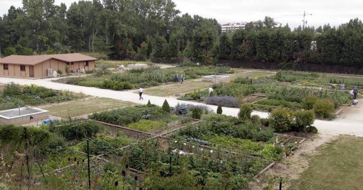 Girón prorroga un año más a los usuarios de las huertas del Soto de don ...