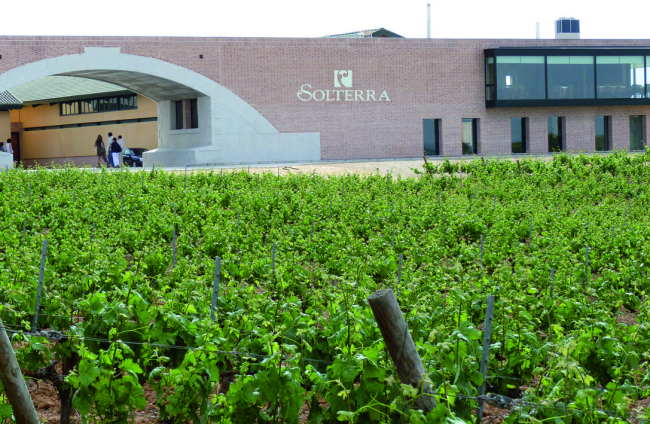 Roa de Duero. Tierras de vino