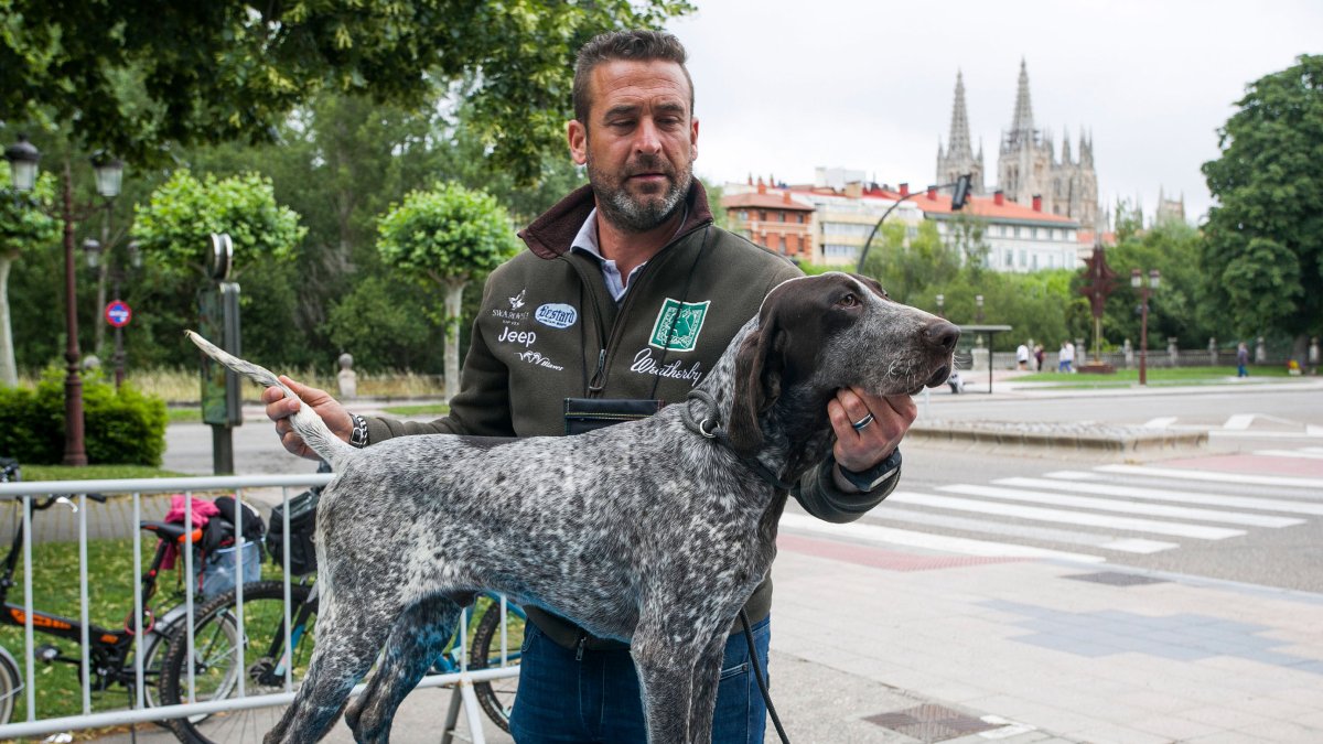Fotos del concurso que reúne a los mejores ejemplares de perro ...