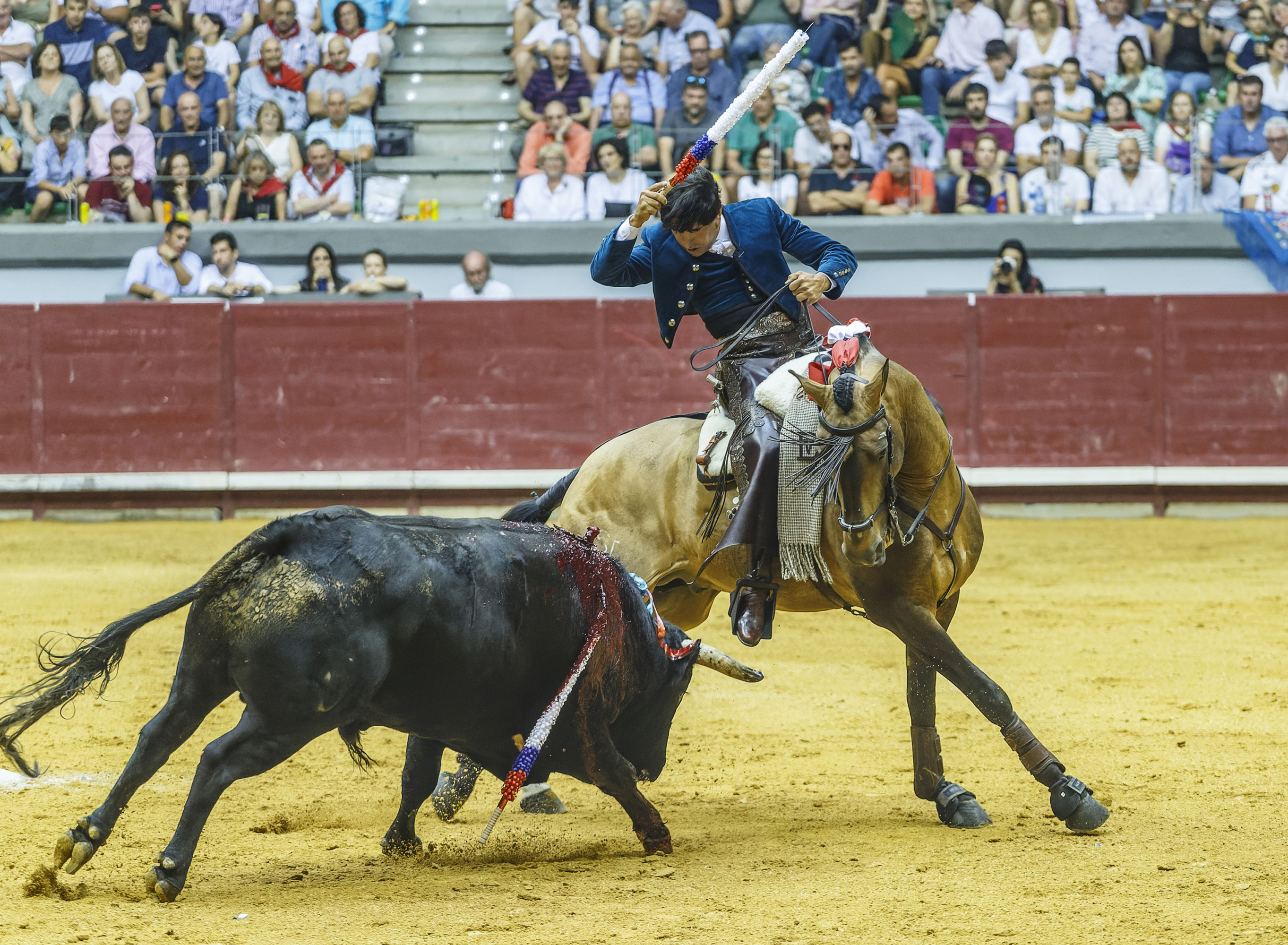 Medina cierra su feria taurina en torno al único festejo de Diego ...