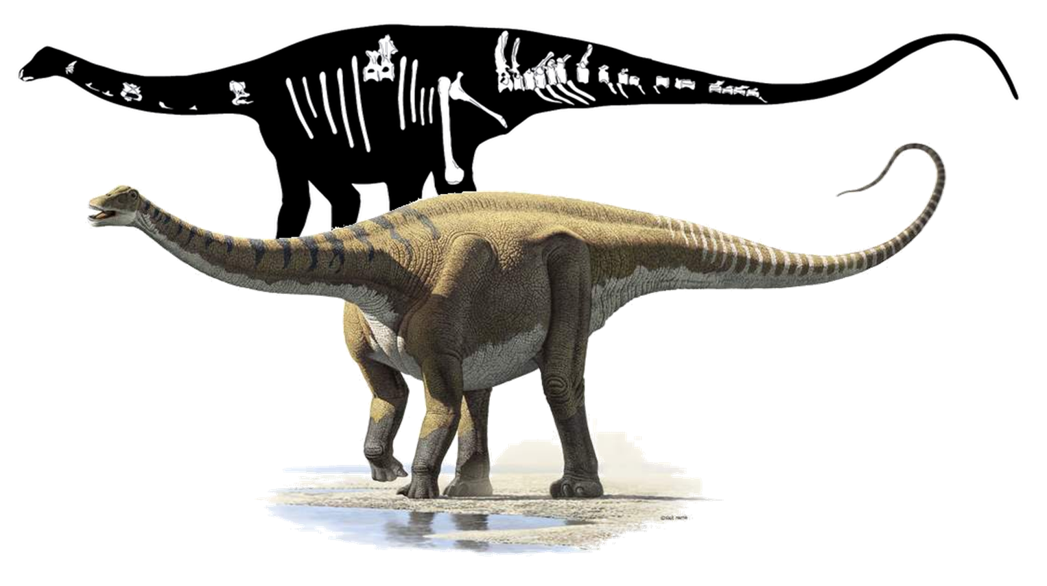 Dinosaurios de Salas de los Infantes, el Jurassic Park burgalés en imágenes