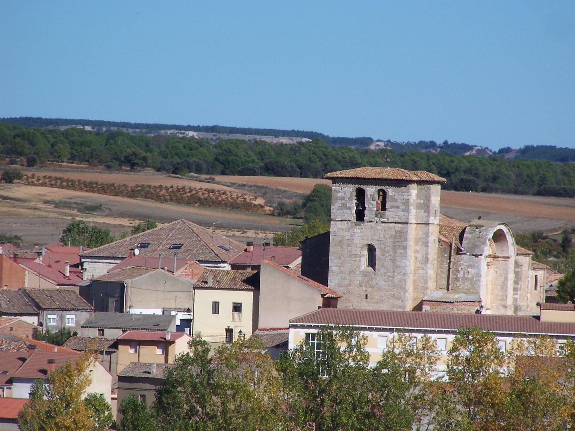 La Horra. El mayor número de hectáreas de la D. O. Ribera del Duero