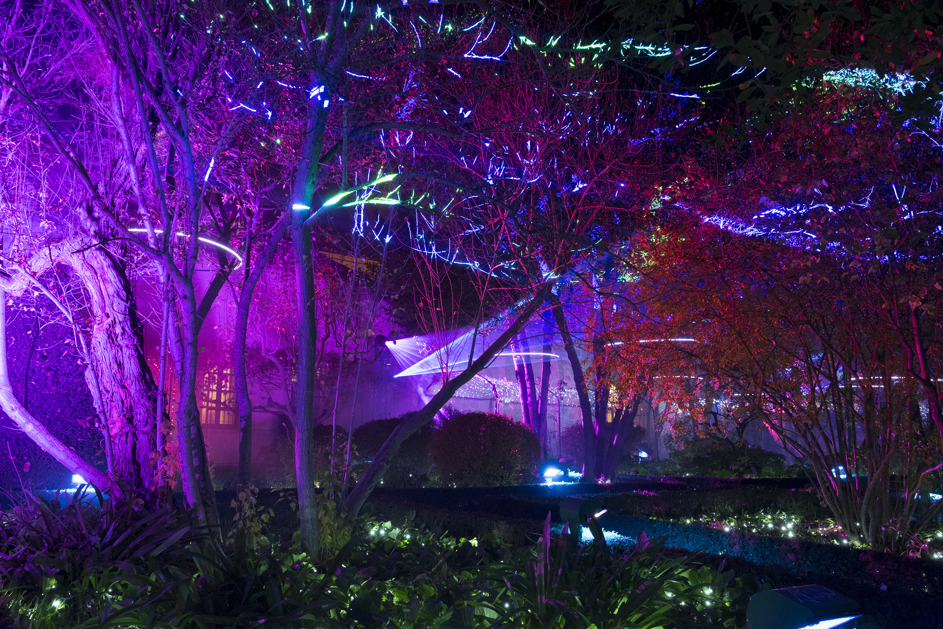 Más de 100.000 personas ya han descubierto el Jardín Mágico del Huerto ...